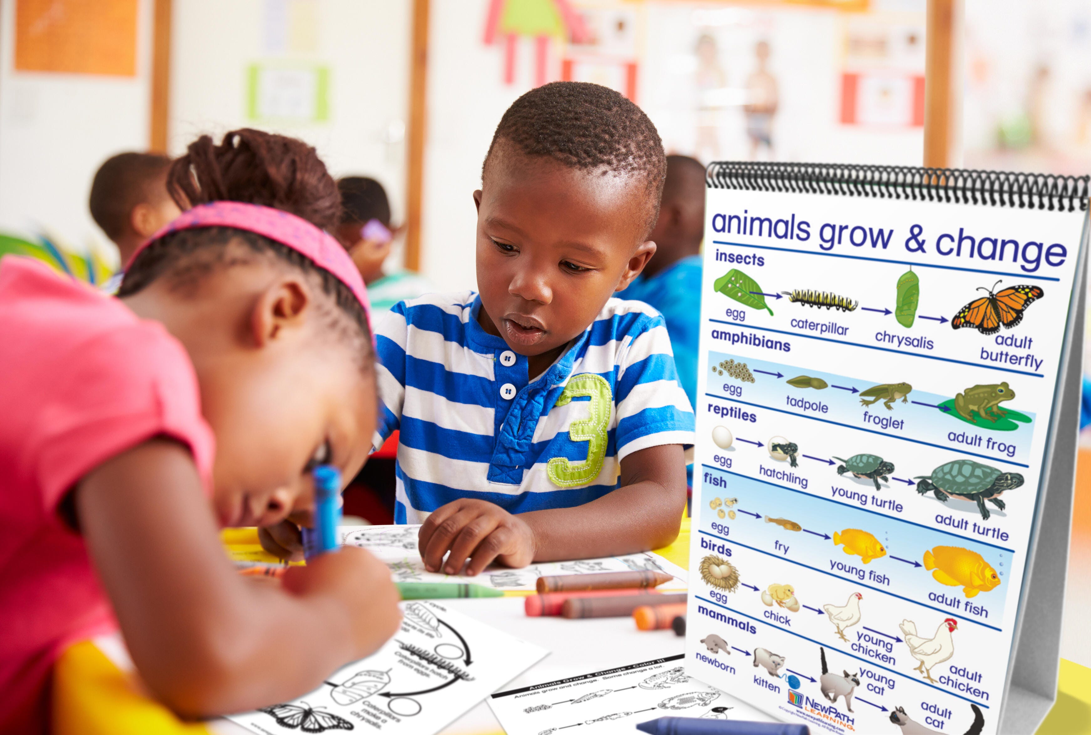 NewPath Learning Flip Chart Set